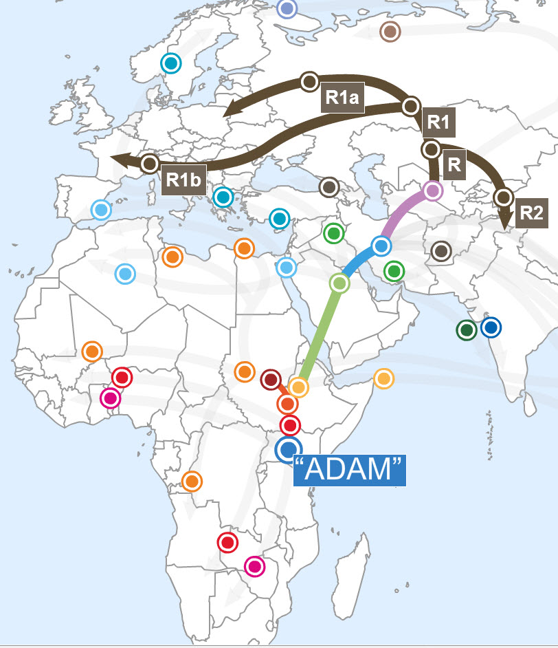 DNA Maps – Quarlton